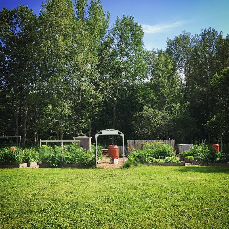 Community Garden – Emmaus Anglican Church